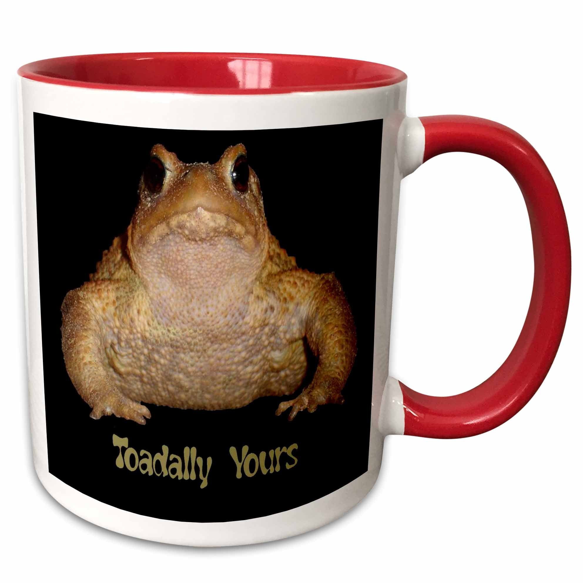 3drose, Photograph of an Ugly Looking Toad with the Pun Toadally Yours ...