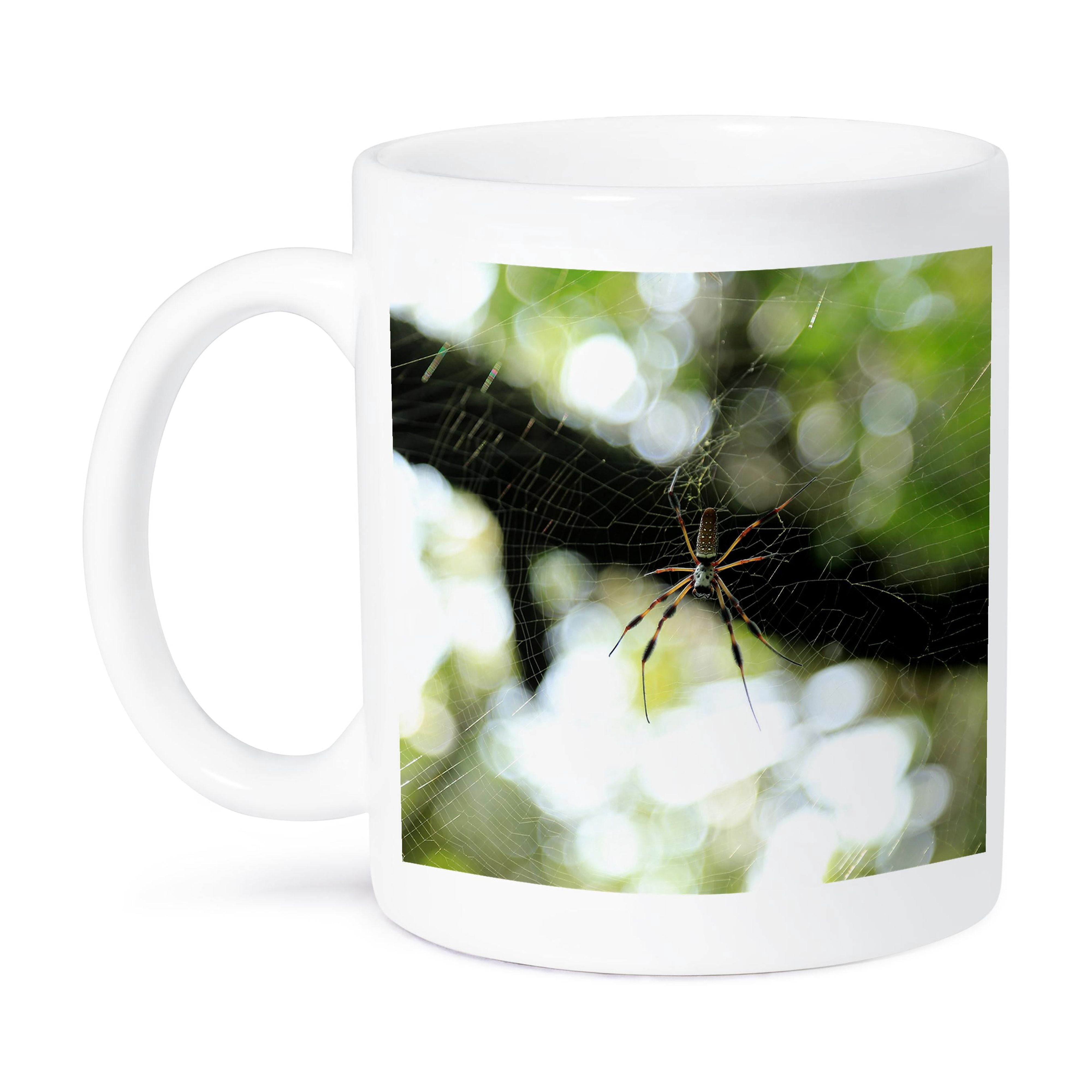 3dRose, Photograph of golden silk orb weaver hanging out in its ...