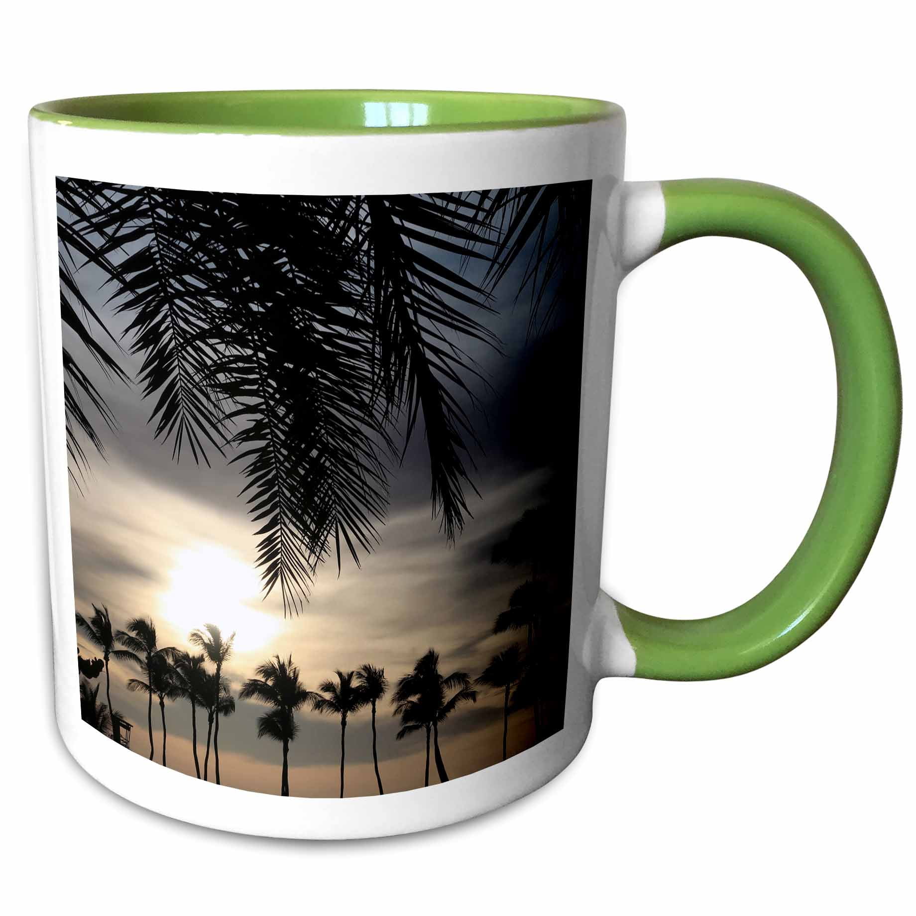 3drose, Photograph of Palm Trees in Aruba at Sunset Through Palm ...