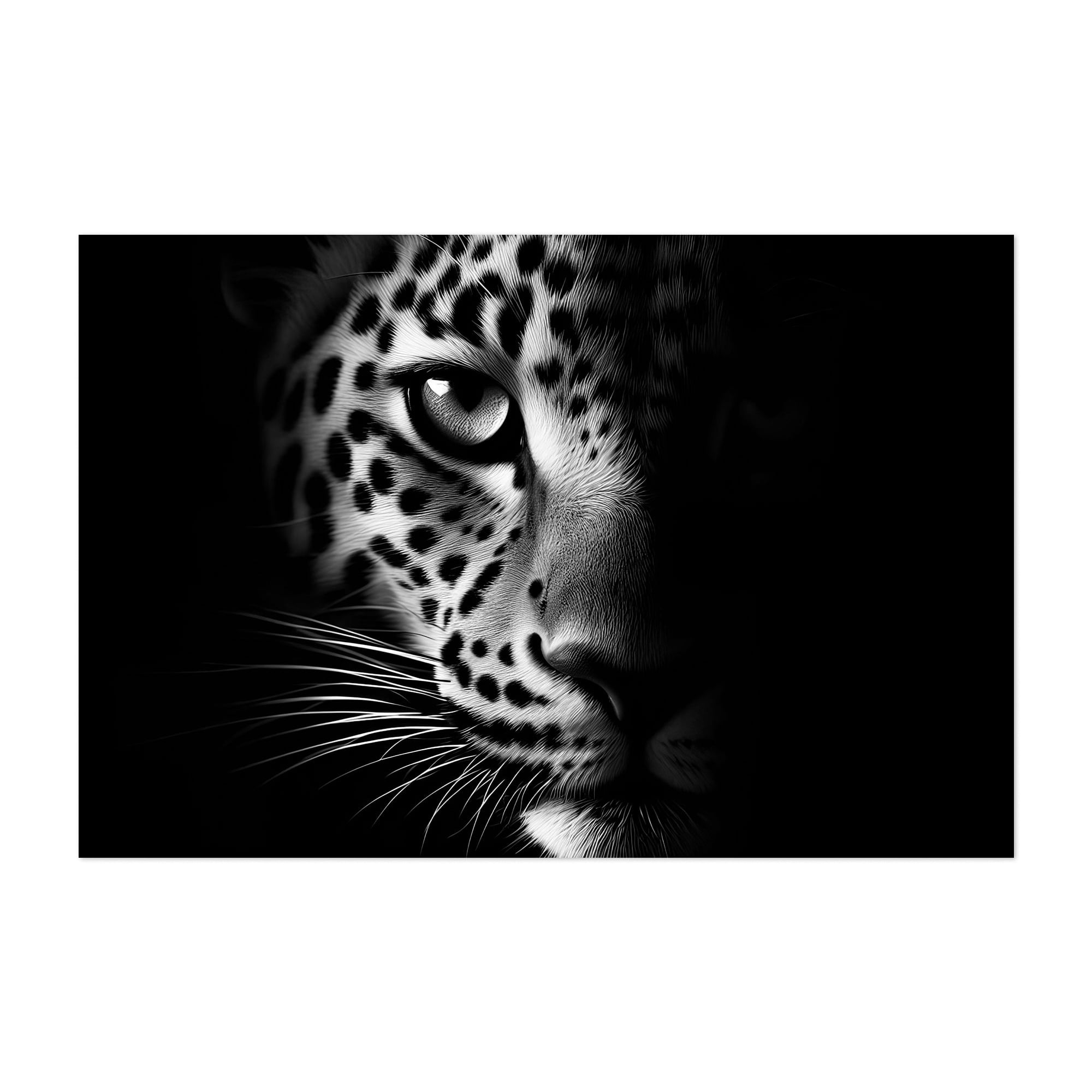 Photograph of a leopard among shadows 01 - Photography Animal Wildlife ...
