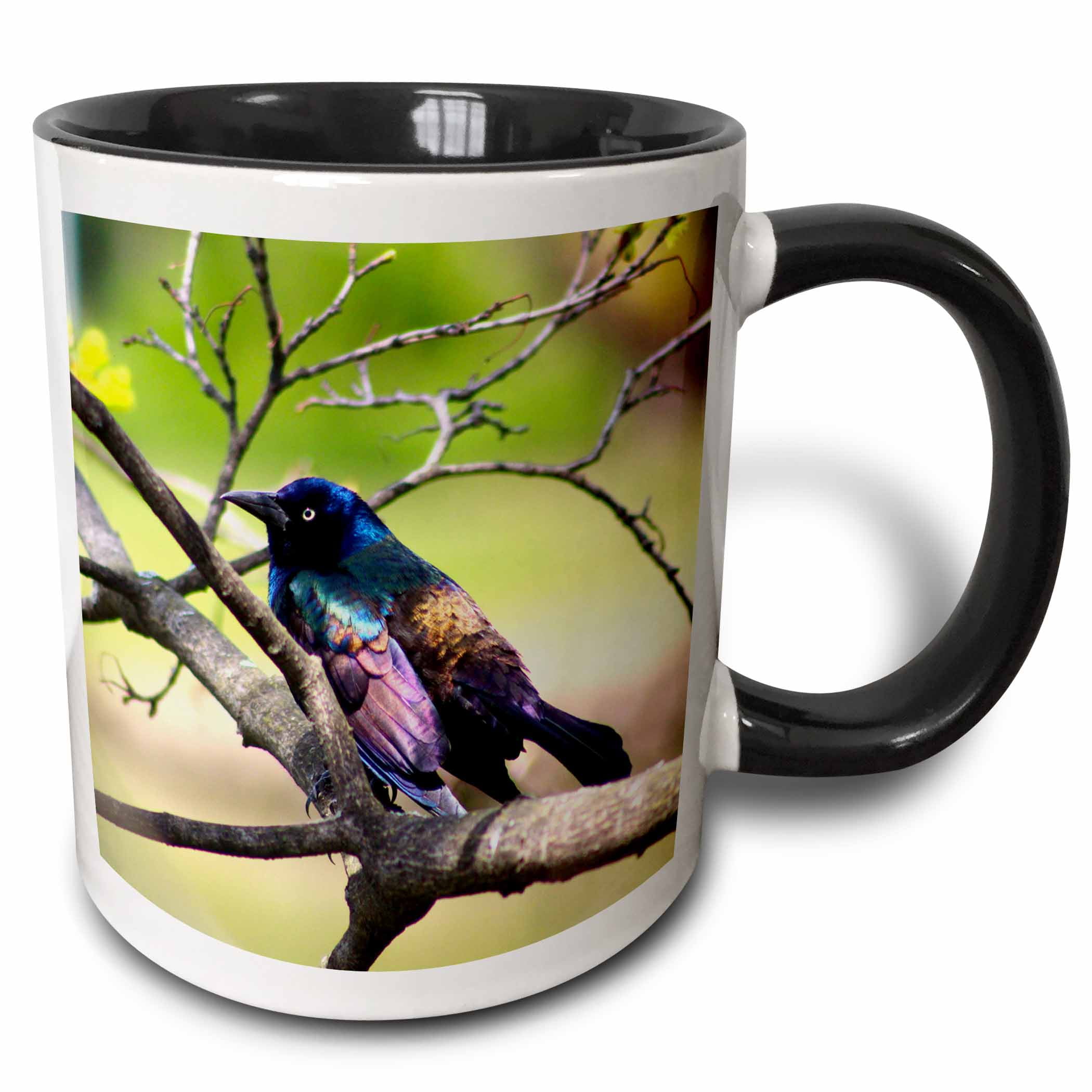 Photograph of a colorful Common Grackle sitting among the branches ...