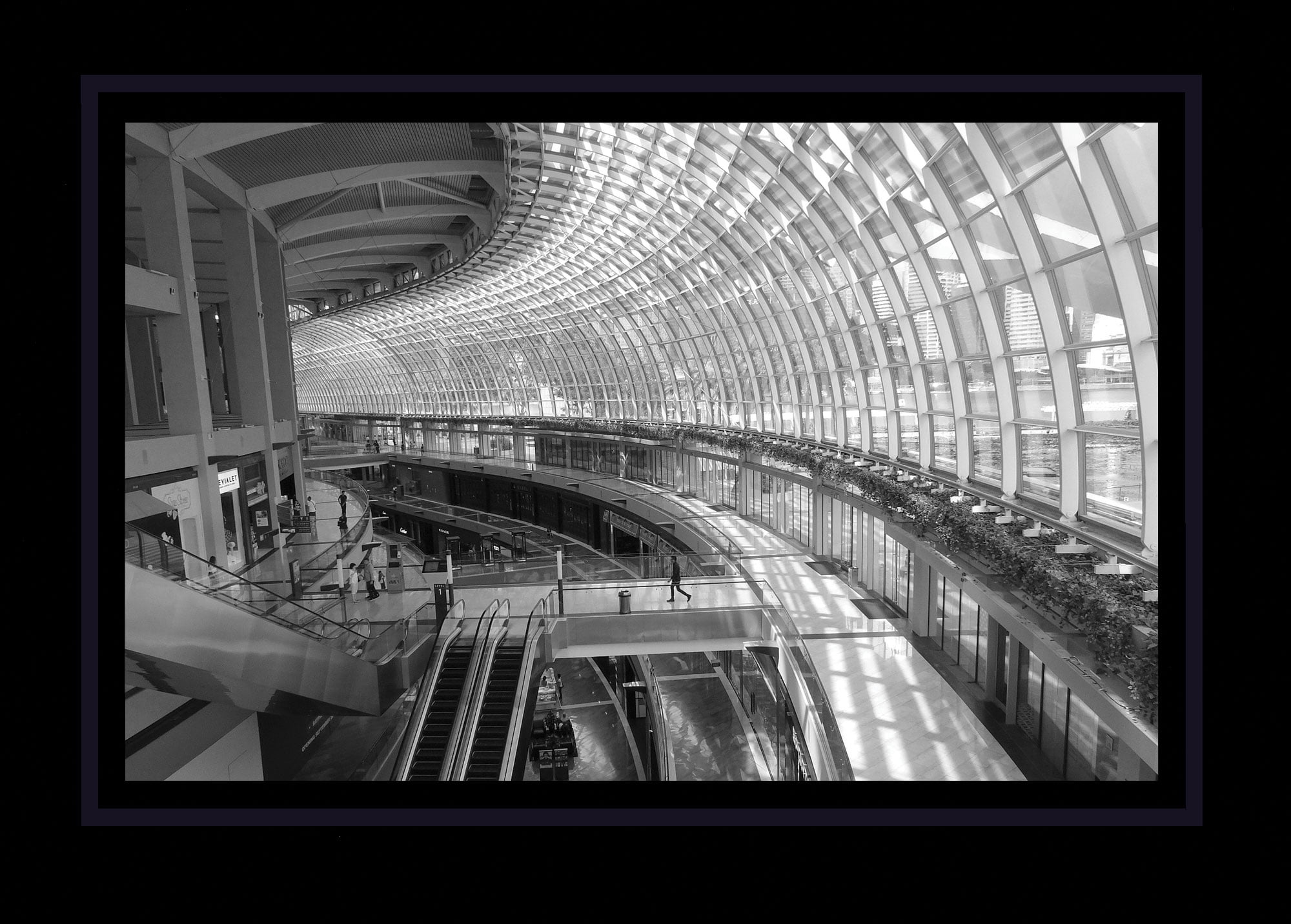 Photographer's Edge, Photo Insert Card, Premium Black Linen, Black Foil ...