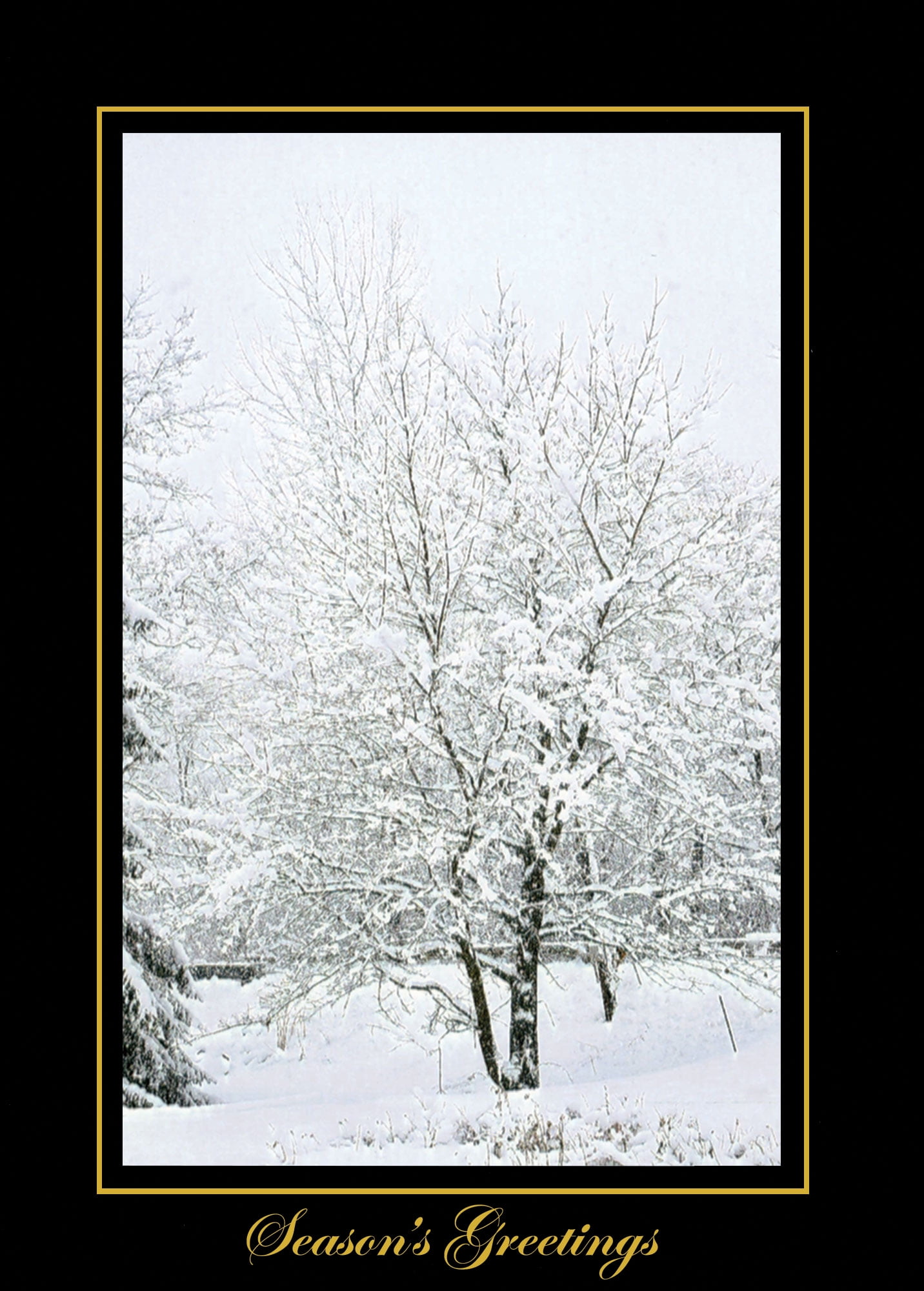 Photographer's Edge, Photo Insert Card, Premium Black Linen, Season's ...