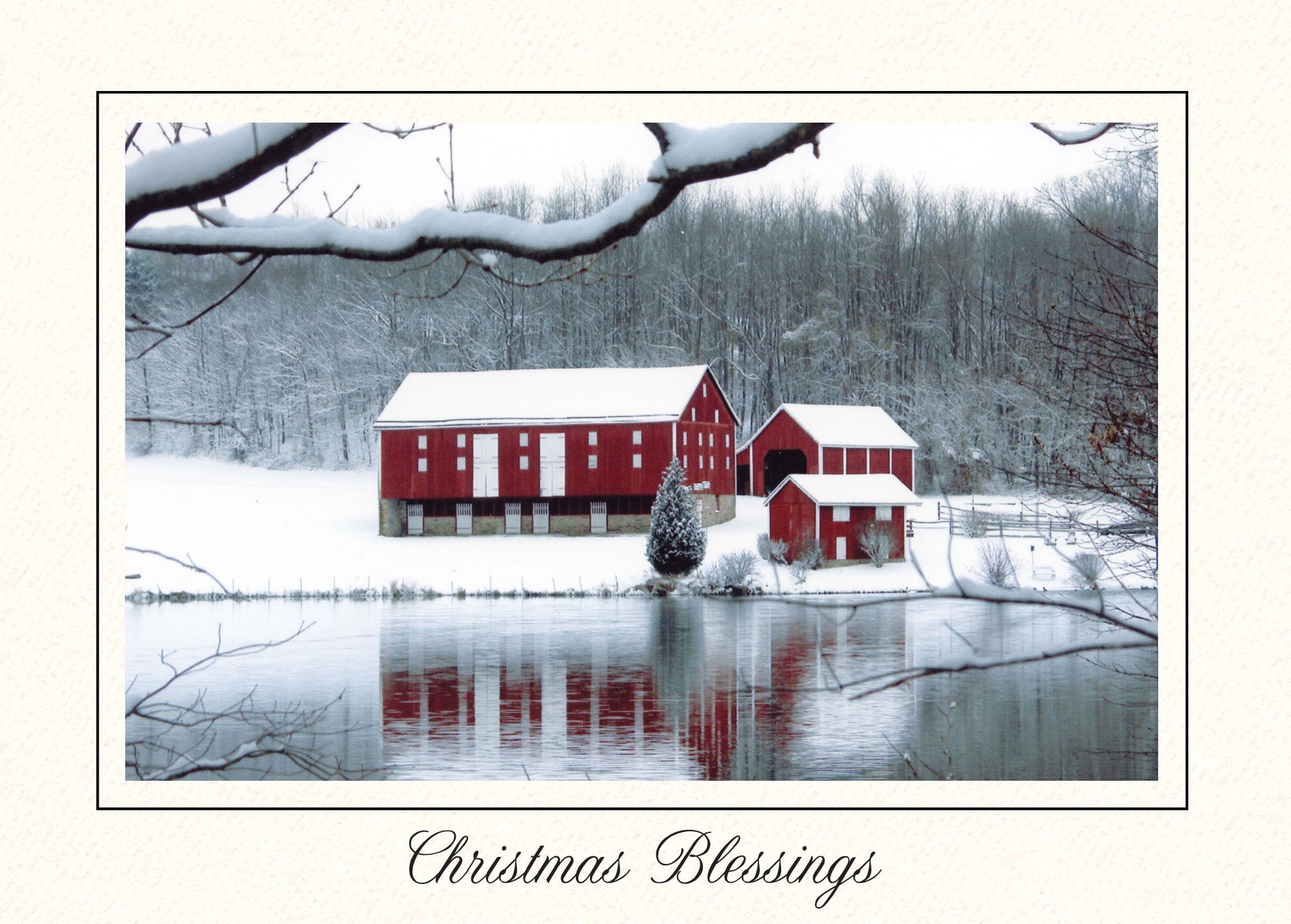 Photographer's Edge, Photo Insert Card, Premium Deep Blue, Snowflake ...