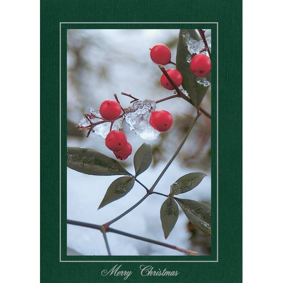 Photographer's Edge, Photo Insert Card, Premium Pine Linen, Merry ...