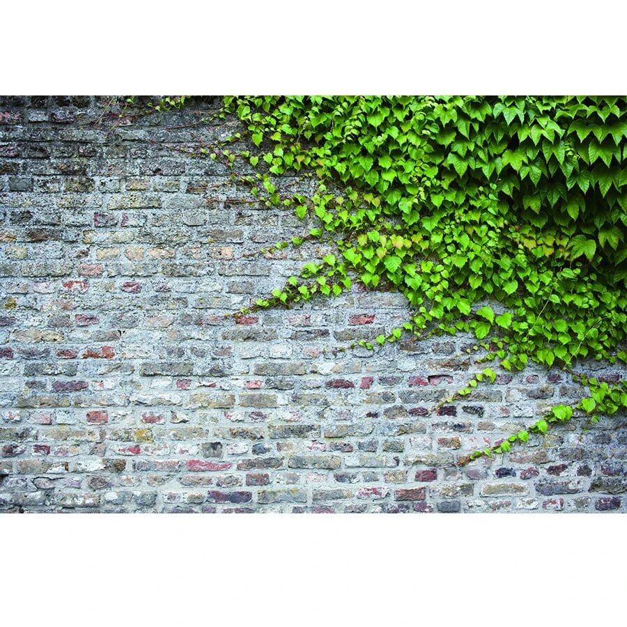 Photographic Backdrop St Wall Green Plants Banner Photocall Vintage ...