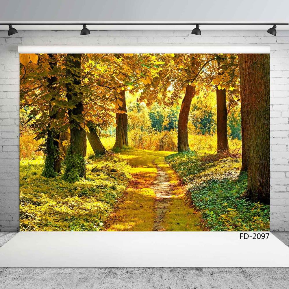 Photographic Backgrounds Auntumn Yellow Leaves Forest Vinyl Backdrops ...