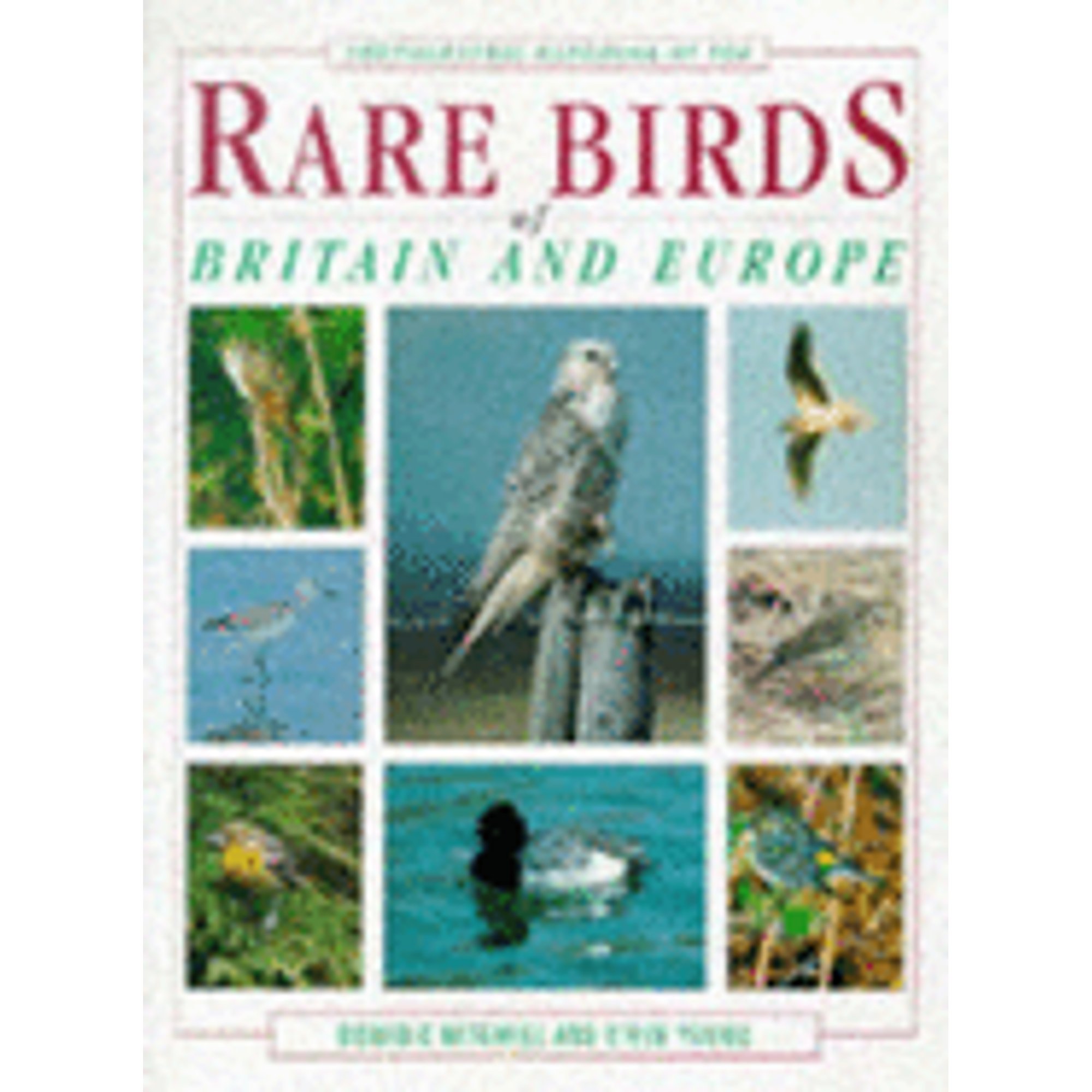 Pre-Owned Photographic Handbook to the Rare Birds of Britain and Europe ...
