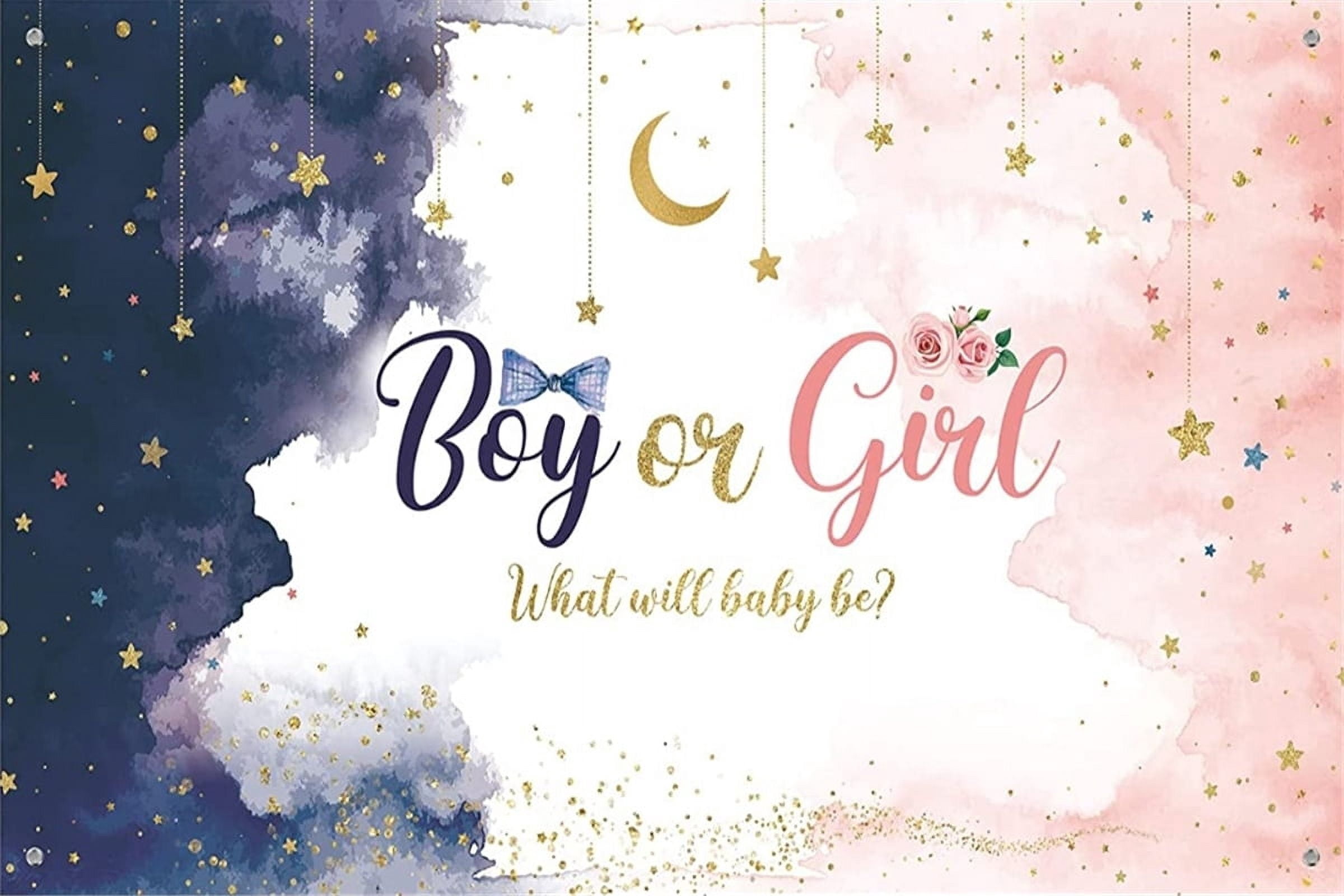 Photography Backdrop Boy Or Girl Gender Reveal White Marble Pink Flowes ...