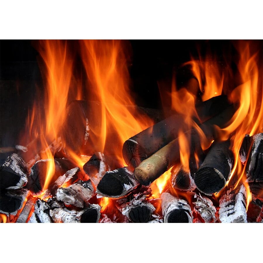 Photography Backdrop Brick Wall Fireplace Wood Fire Burning Flame Baby ...