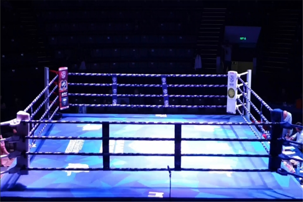 Photography Backdrop For Boys Birthday Party Boxing Ring Background ...