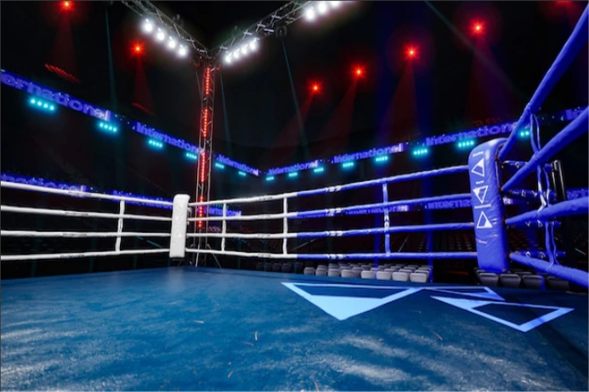 Photography Backdrop For Boys Birthday Party Boxing Ring Background ...