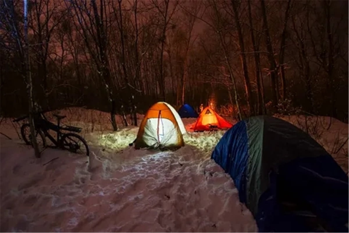 Photography Backdrop Forest Night Scene Camping Tent Campfire Party ...