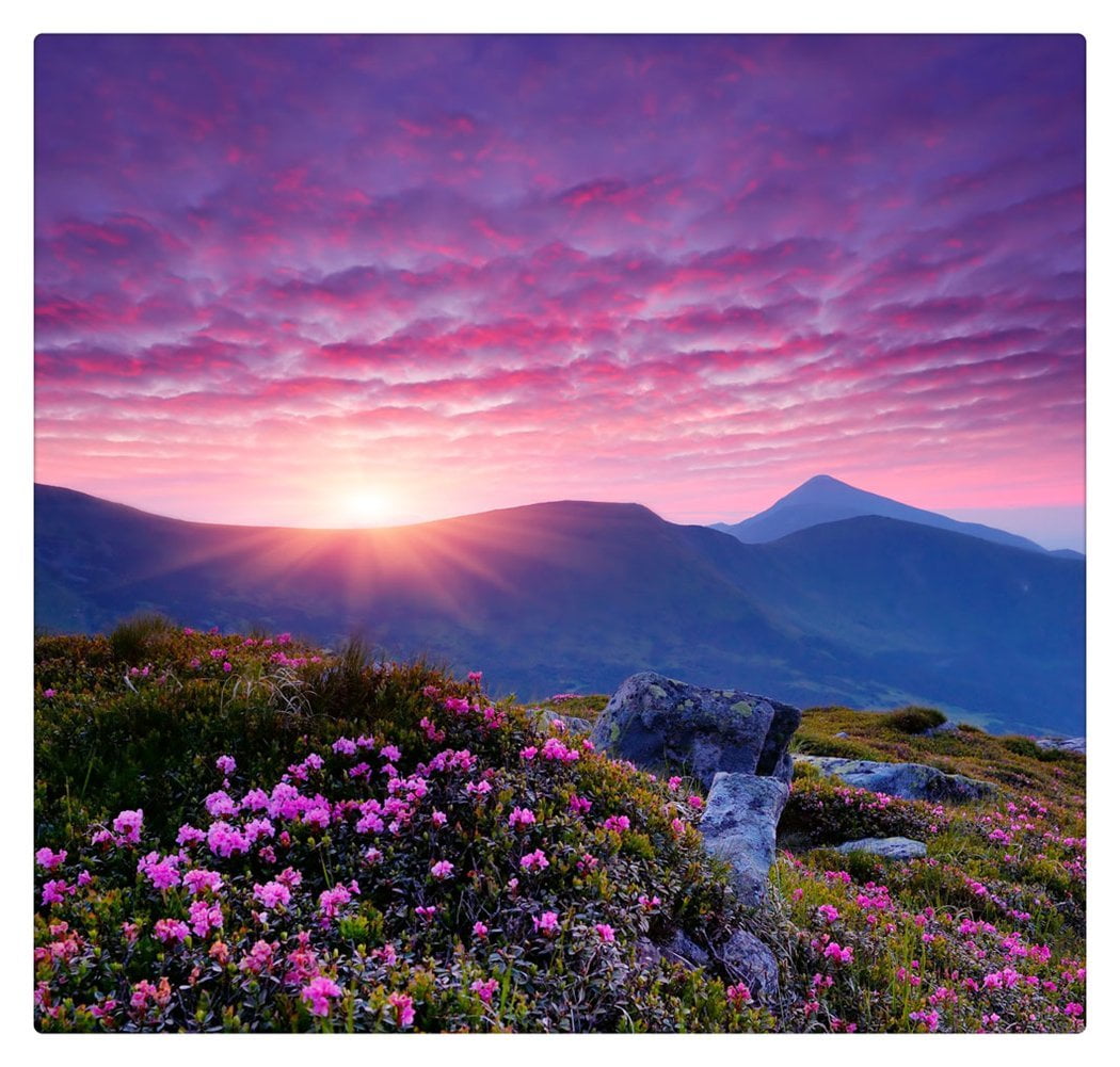 Photography Backdrop Nature 5x7ft Flowers Mountains Photo Background ...