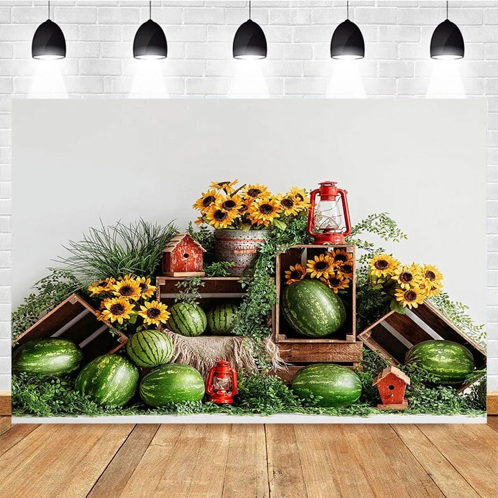 Photography Backdrop Watermelon Summer Fruit Party Background ...
