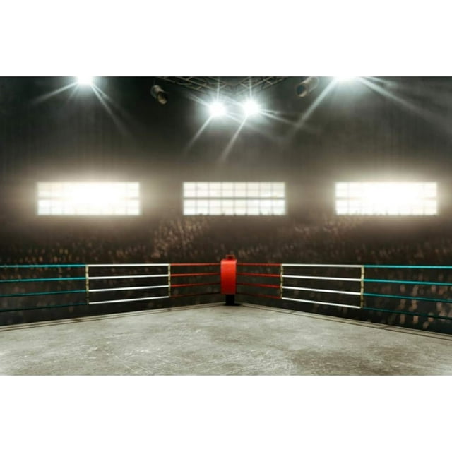 Photography Backdrop Wrestling Boxing Match Ara Boxing Gym Kung Fu Gym ...