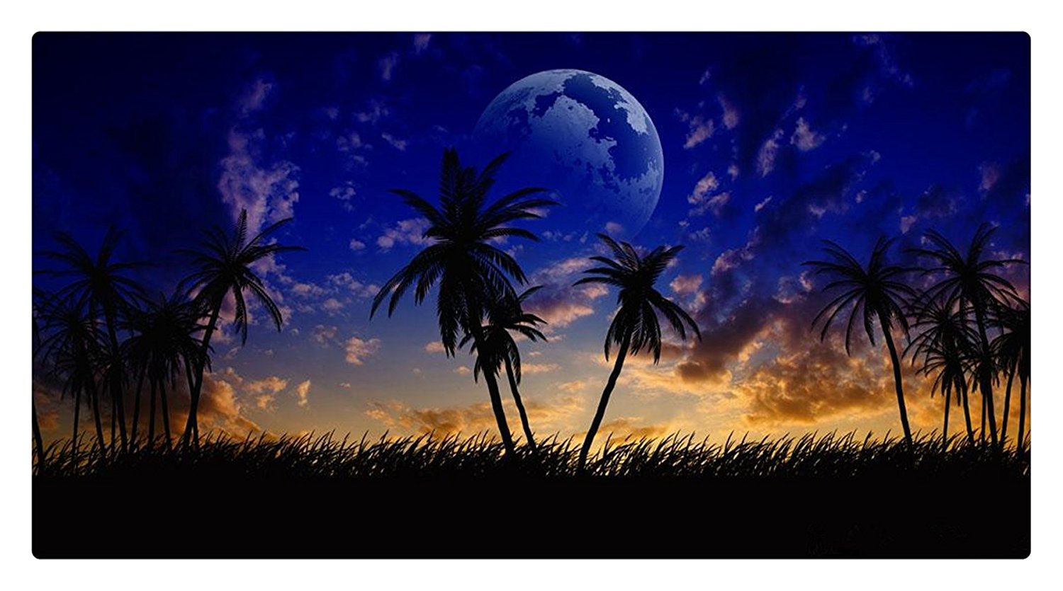 Photography Backdrops 7x5ft Night Jungle Large Moon with Trees ...