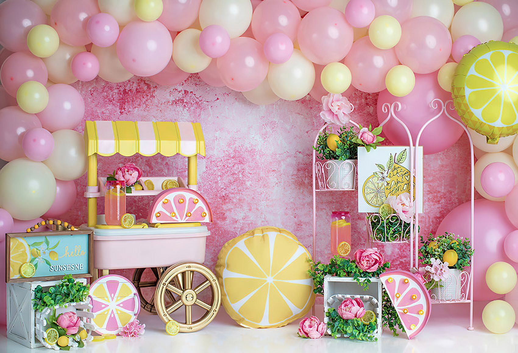 Photography Background Boho Balloons Boy Girl 1st Birthday Party Cake ...
