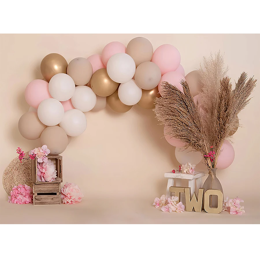 Photography Background Color Balloons Bohemian Boho Girl Boy 1st ...