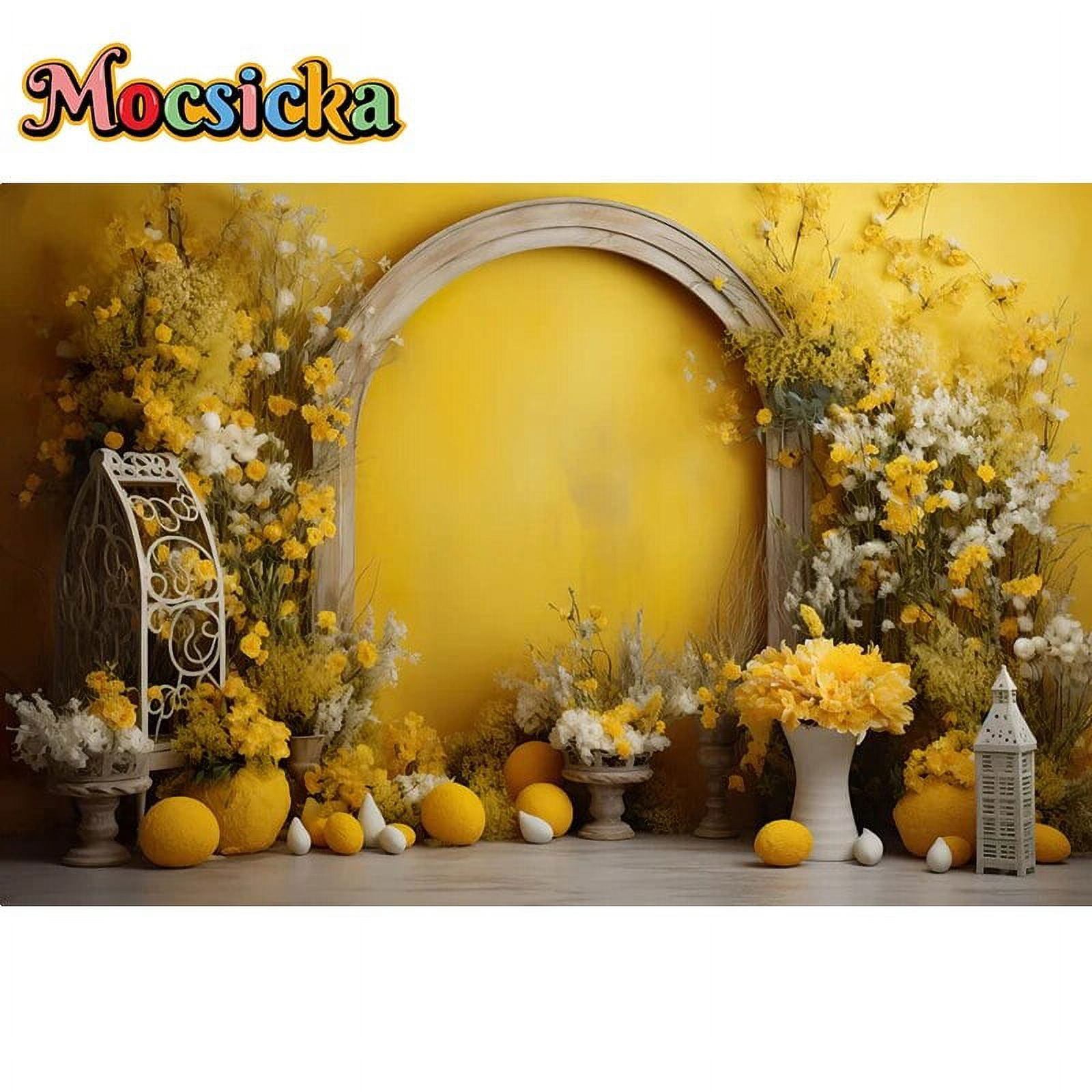 Photography Background Easter Indoor Arch Wooden Door Egg Rabbit Decor ...