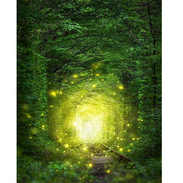 Photography Background Forest Jungle Forest Dreamy Wonderland Art ...