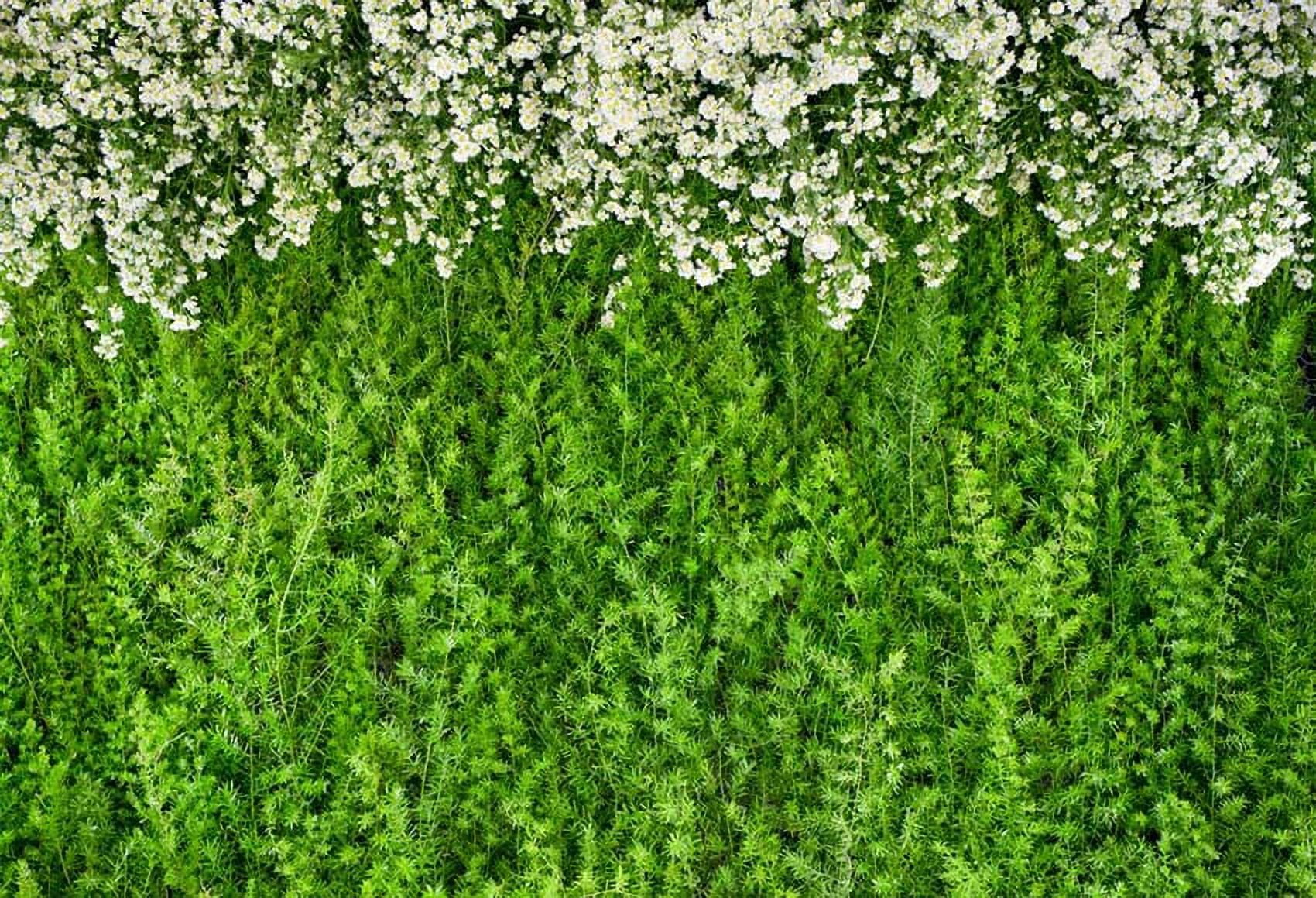 Photography Background Spring Green Grass Foliage Baby Shower Birthday ...