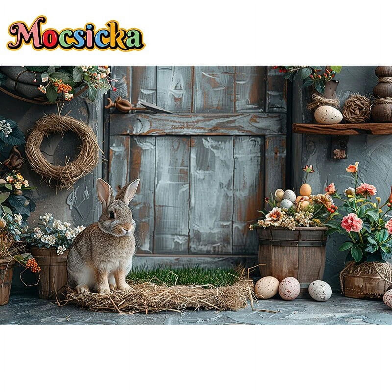 Photography Background Spring Outdoor Vintage Walls Wooden Doors Floral ...
