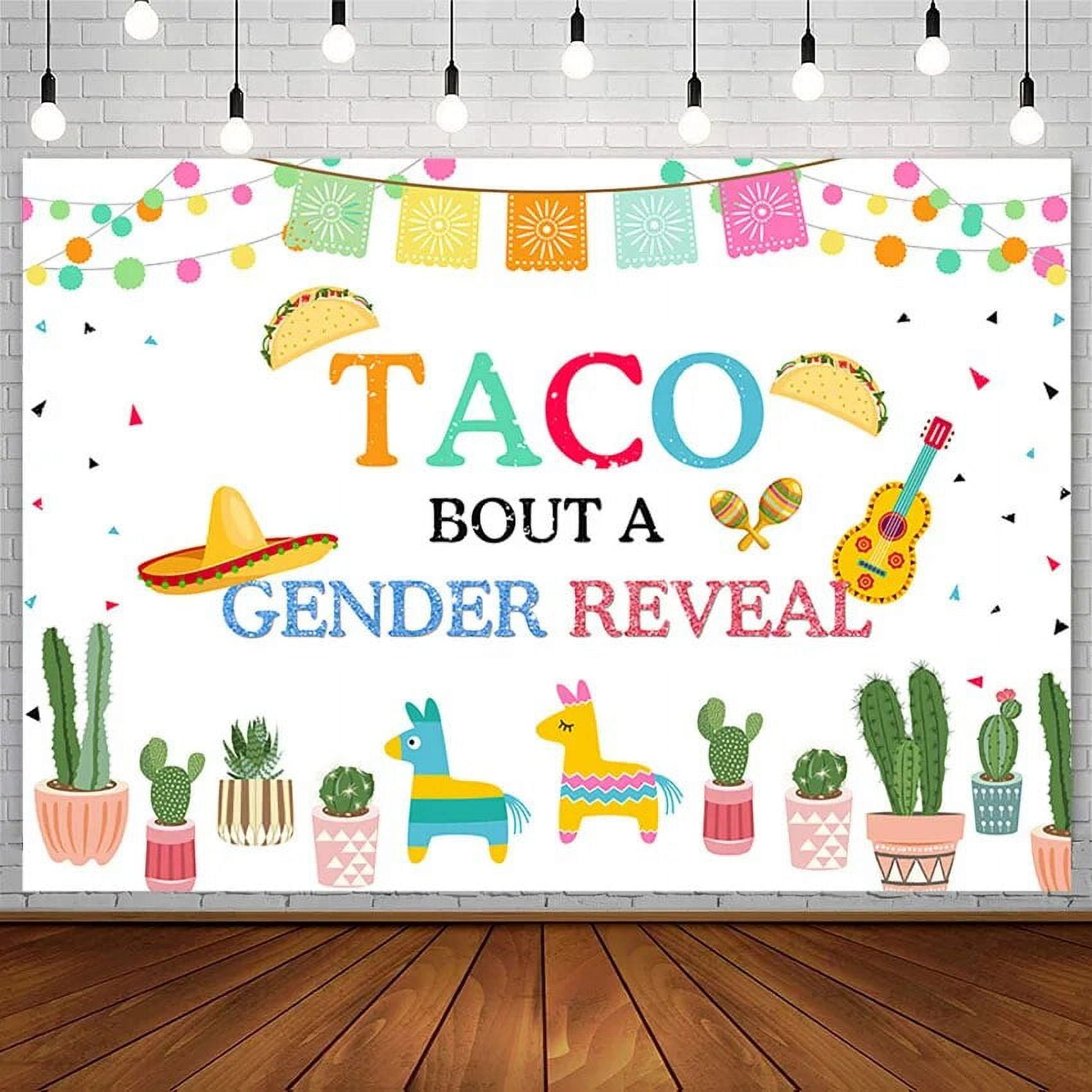 Photography Background Taco Bout A Gender Reveal Hat Spring Plant Party ...