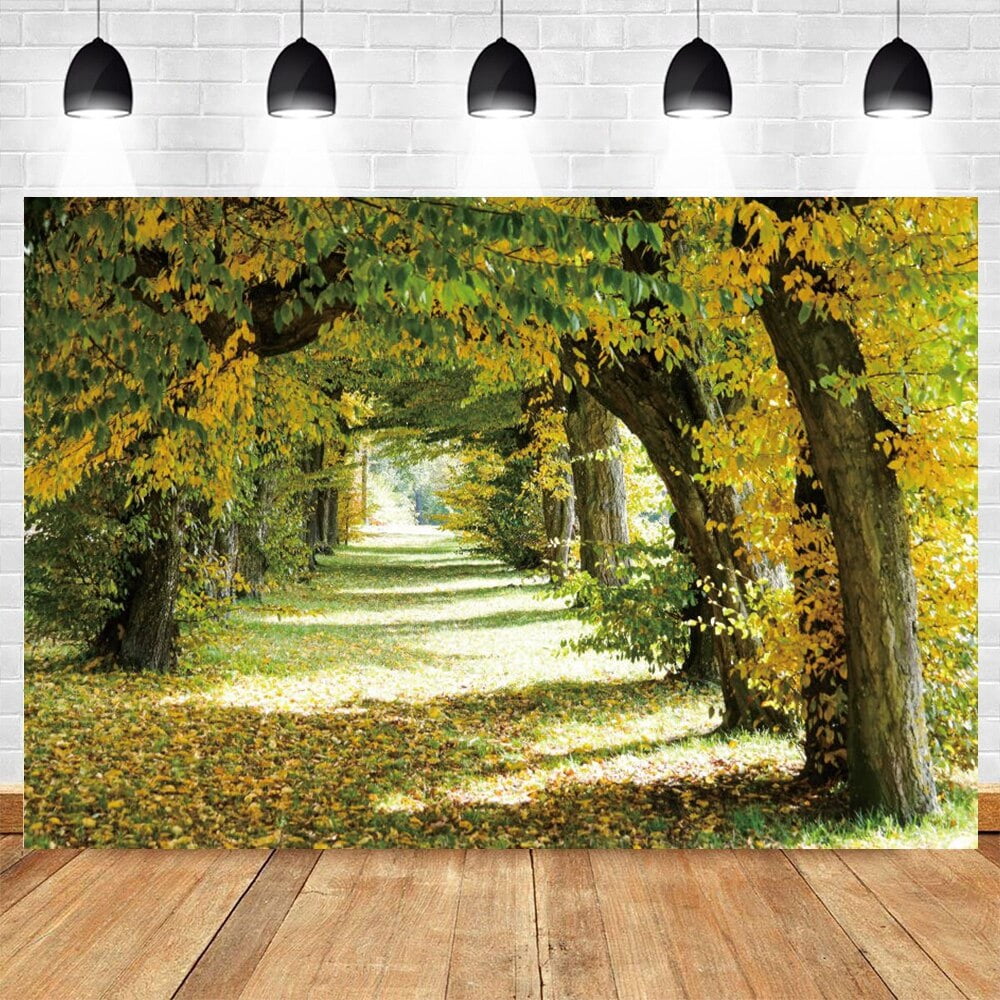 Photography Backgrounds Fall Autumn Forest Yellow Vinyl Photo ...