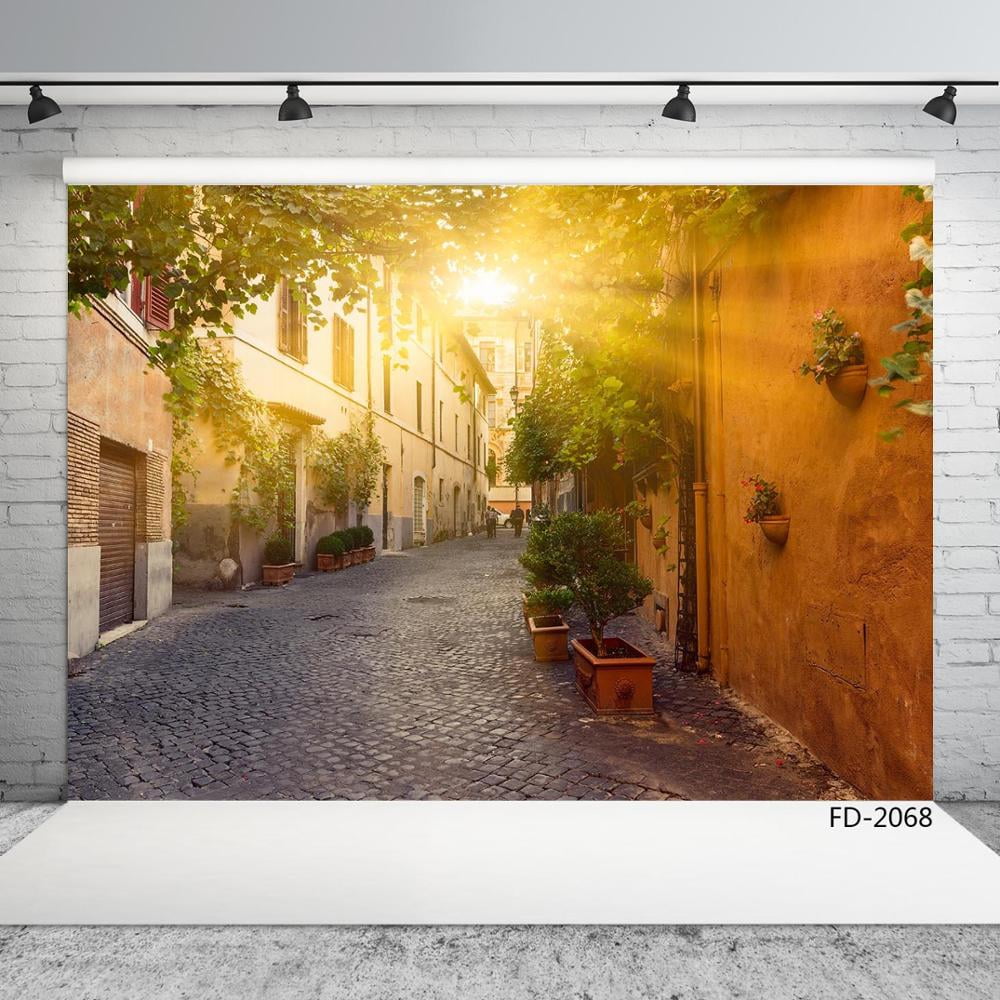 Photography Backgrounds House Pathway Sunset Vinyl Cloth Photo ...