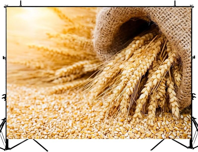 Photography Beautiful Backdrop Photography Background Macro Close up ...