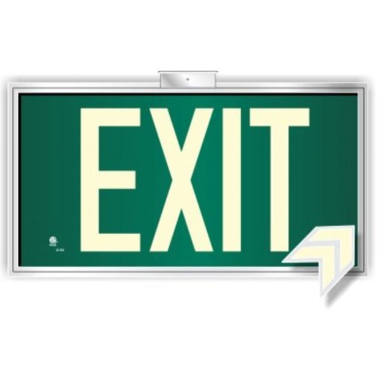 Photoluminescent Exit Sign Green Framed FlagCeiling Mount (Removable ...