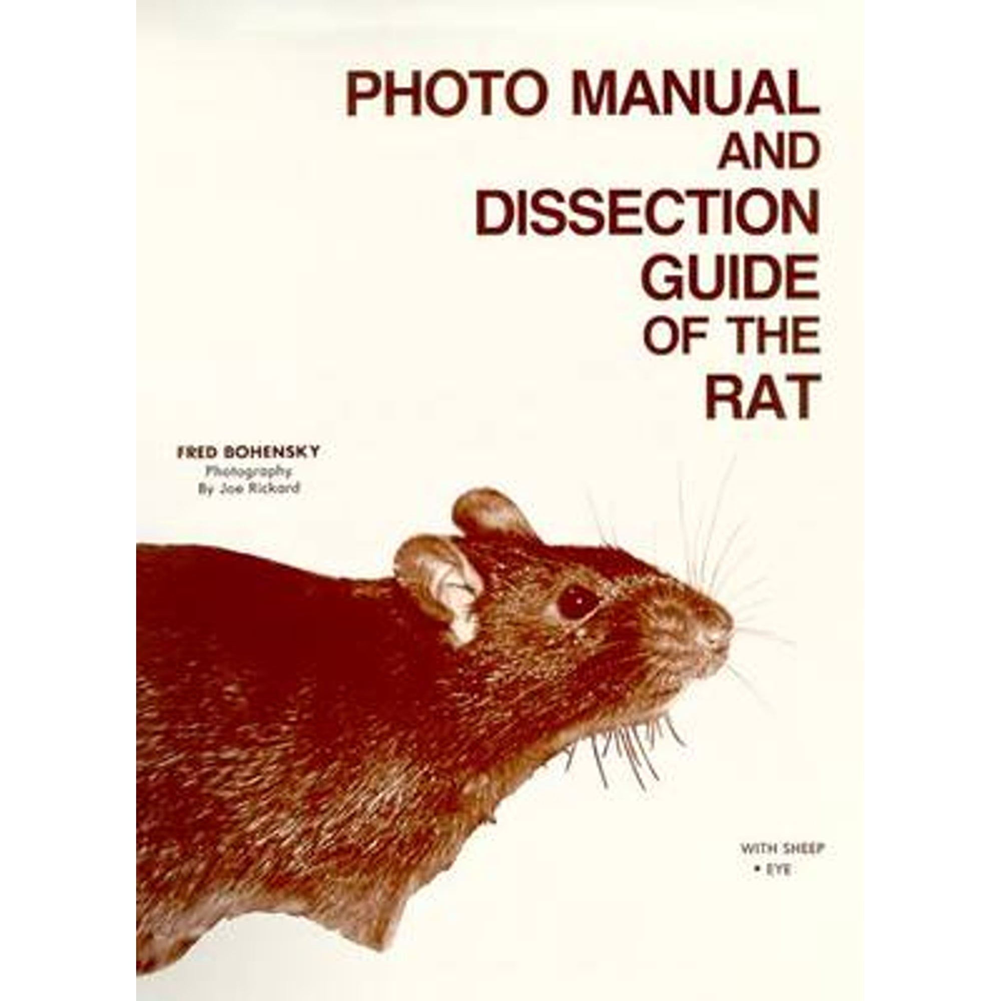 Pre-Owned Photomanual and Dissection Guide to Rat - Walmart.com