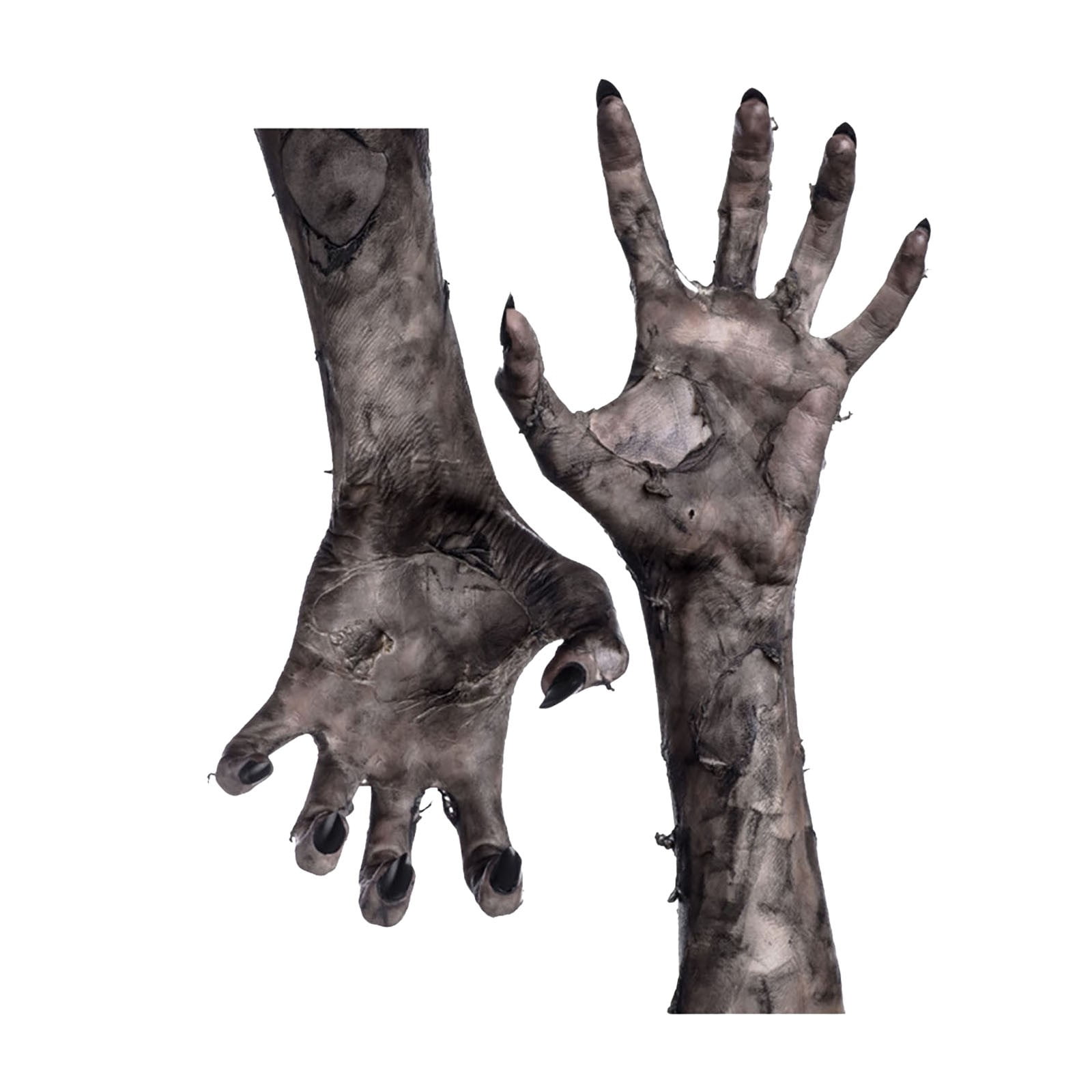 Photometer School Stickers for Students Back to School Stickers for ...