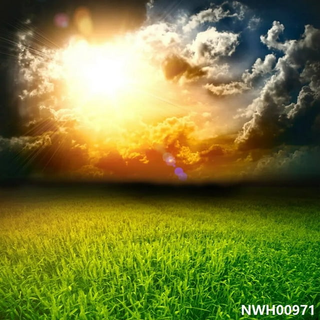 Photophone Spring Photography Backgrounds Blooming Grassland Baby ...