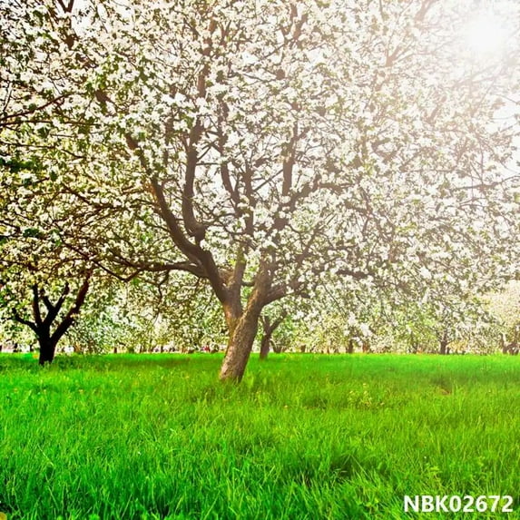 Photophone Spring Photography Backgrounds Blooming Grassland Baby ...