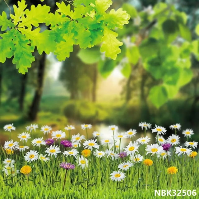 Photophone Spring Photography Backgrounds Blooming Grassland Baby ...