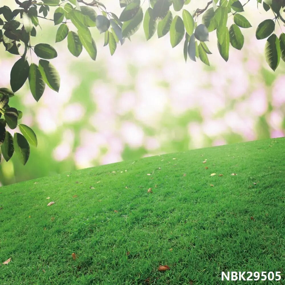 Photophone Spring Photography Backgrounds Blooming Grassland Baby ...