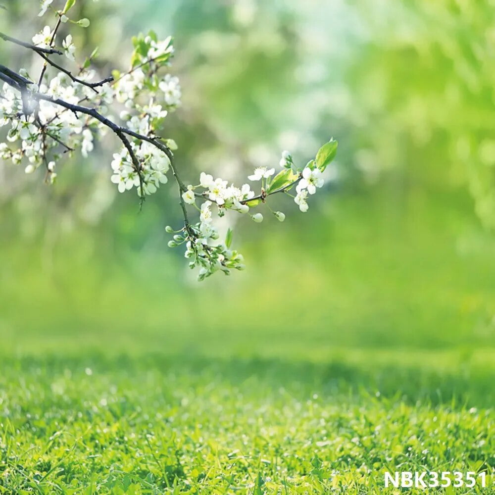 Photophone Spring Photography Backgrounds Blooming Grassland Baby ...
