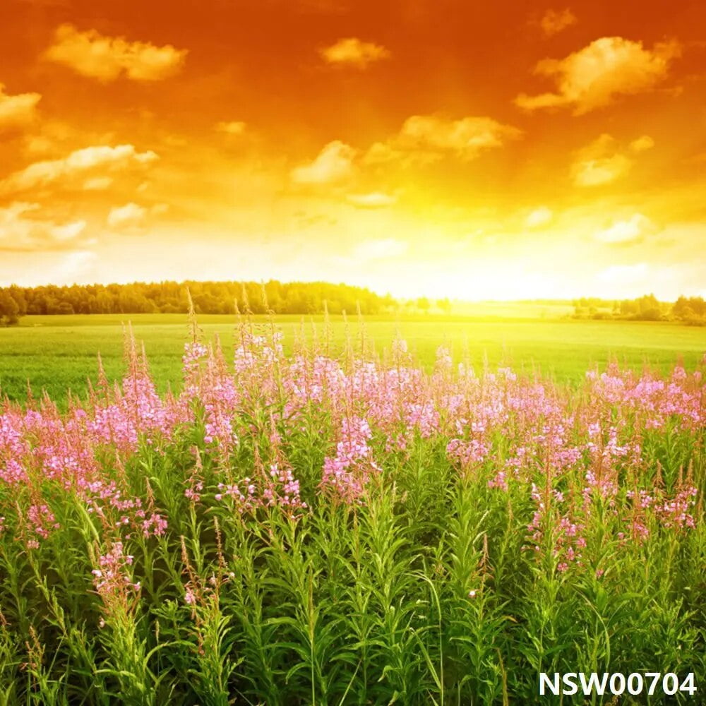 Photophone Spring Photography Backgrounds Blooming Grassland Baby ...