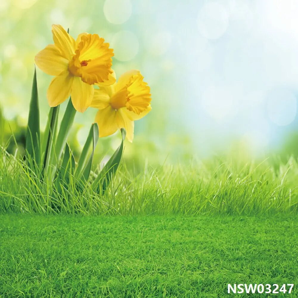 Photophone Spring Photography Backgrounds Blooming Grassland Baby ...