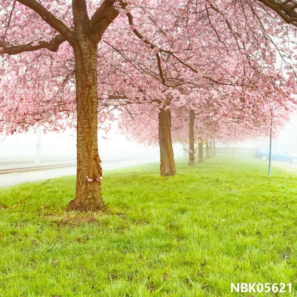 Photophone Spring Photography Backgrounds Blooming Grassland Baby ...