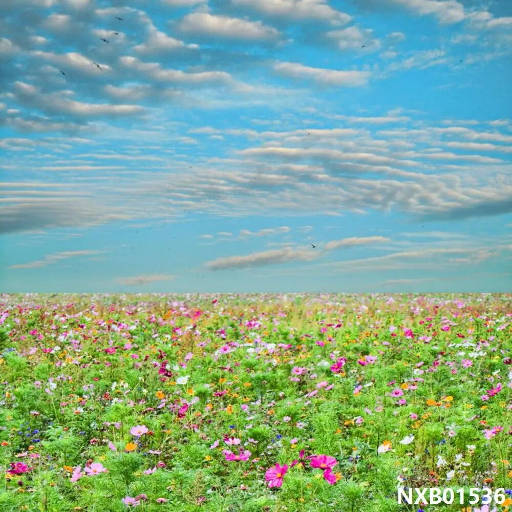 Photophone Spring Photography Backgrounds Blooming Grassland Baby ...