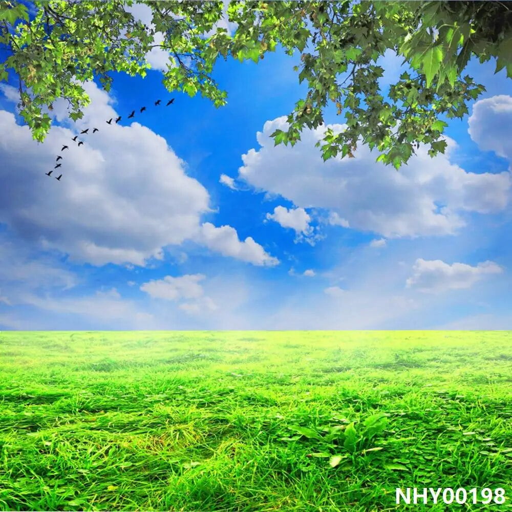 Photophone Spring Photography Backgrounds Blooming Grassland Baby ...
