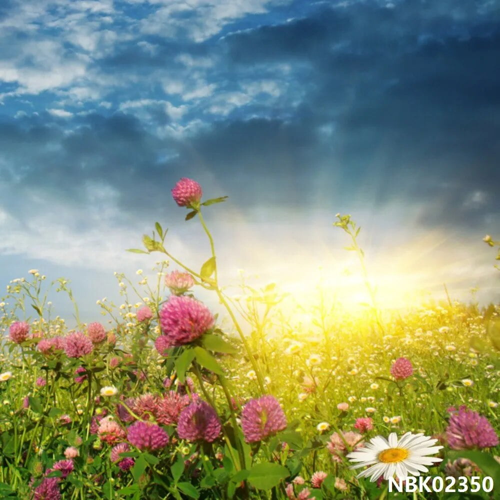 Photophone Spring Photography Backgrounds Blooming Grassland Baby ...