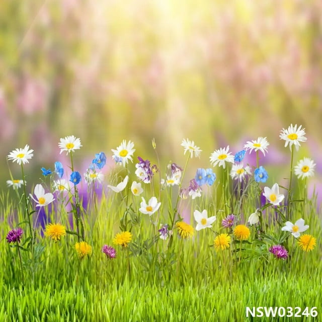 Photophone Spring Photography Backgrounds Blooming Grassland Baby ...