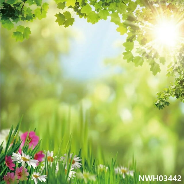 Photophone Spring Photography Backgrounds Blooming Grassland Baby ...