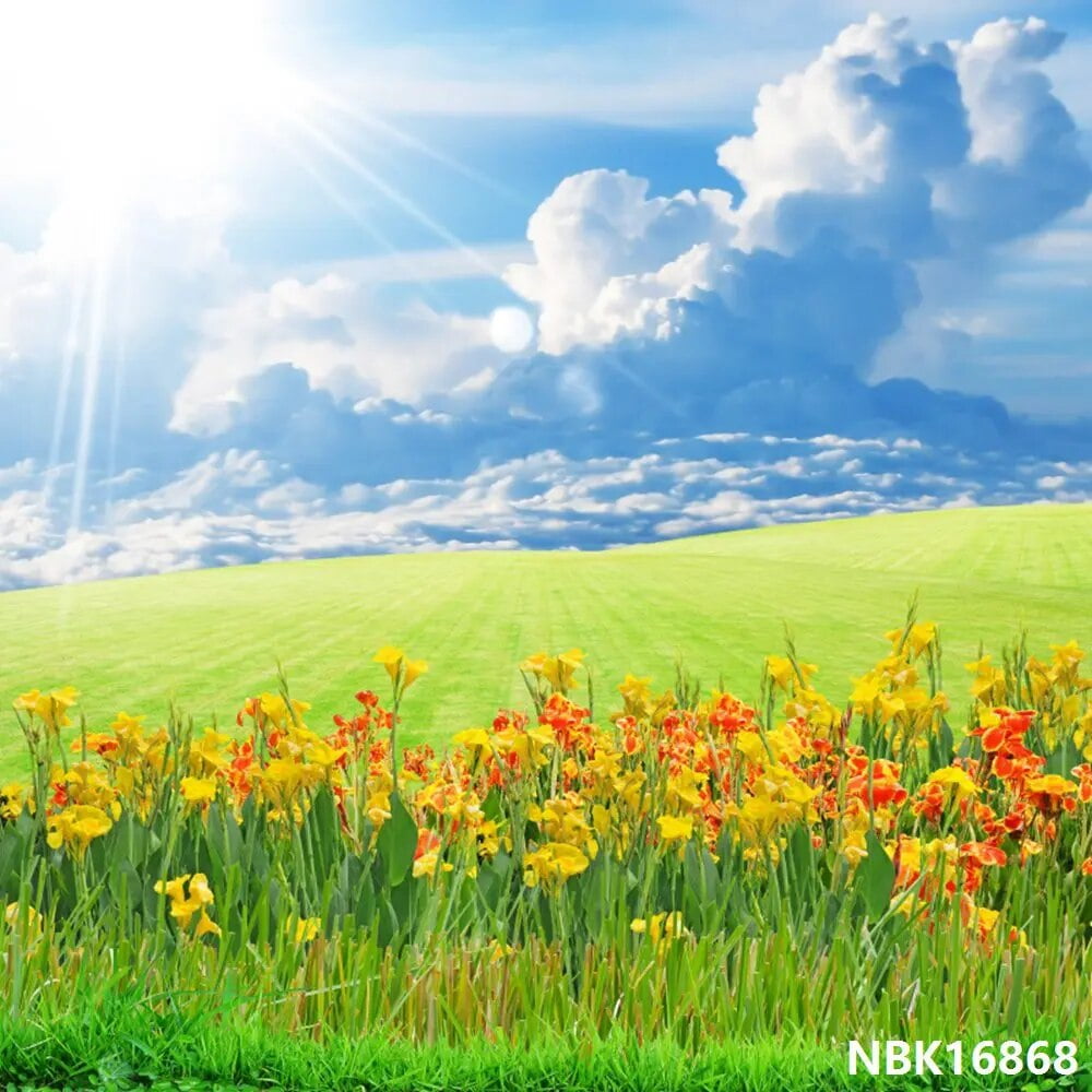 Photophone Spring Photography Backgrounds Blooming Grassland Baby ...