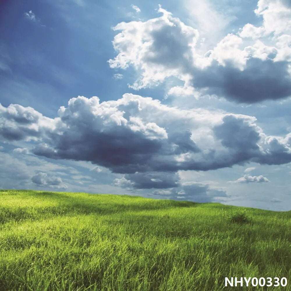 Photophone Spring Photography Backgrounds Blooming Grassland Baby ...