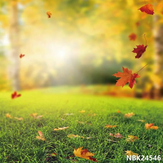 Photophone Spring Photography Backgrounds Blooming Grassland Baby ...